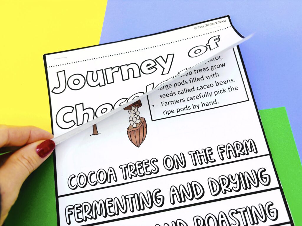 Farm to Table Science for Special Education: Real‑World Learning That ...